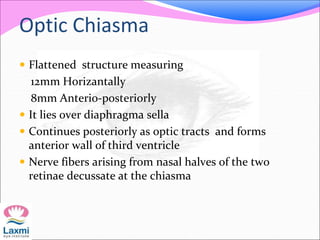 Visual pathway | PPTX