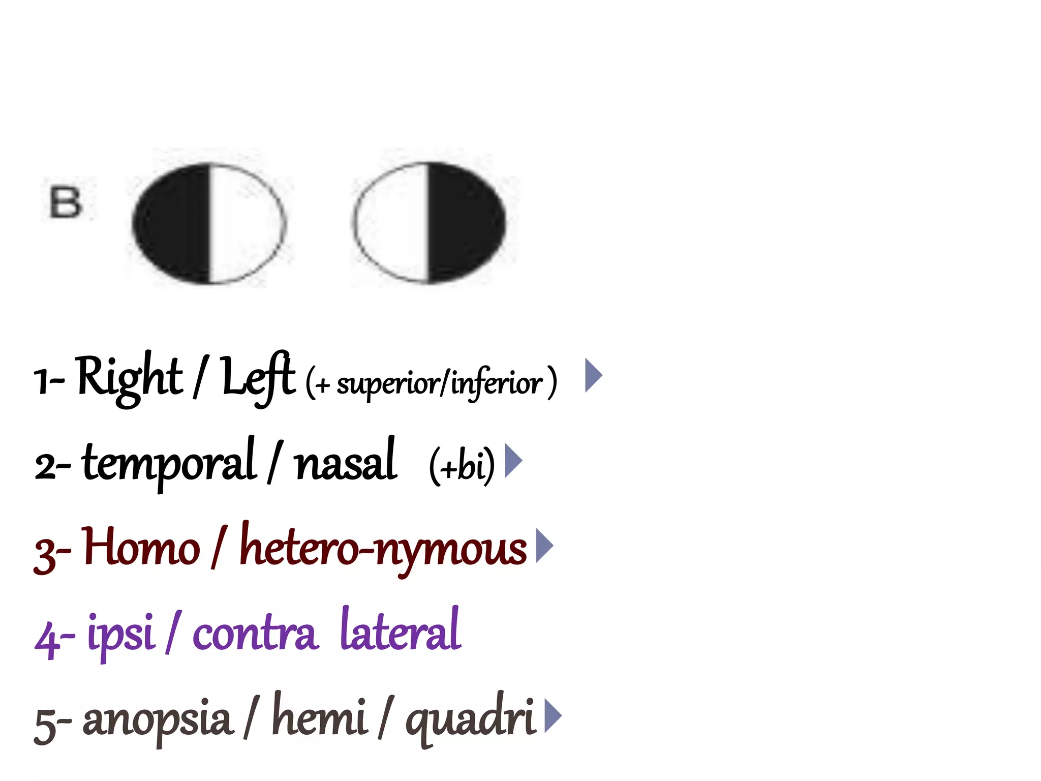 Visual pathway & lesions | PPTX
