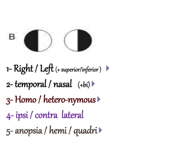 Visual pathway & lesions | PPTX