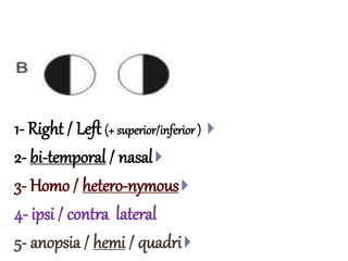 Visual pathway & lesions | PPTX