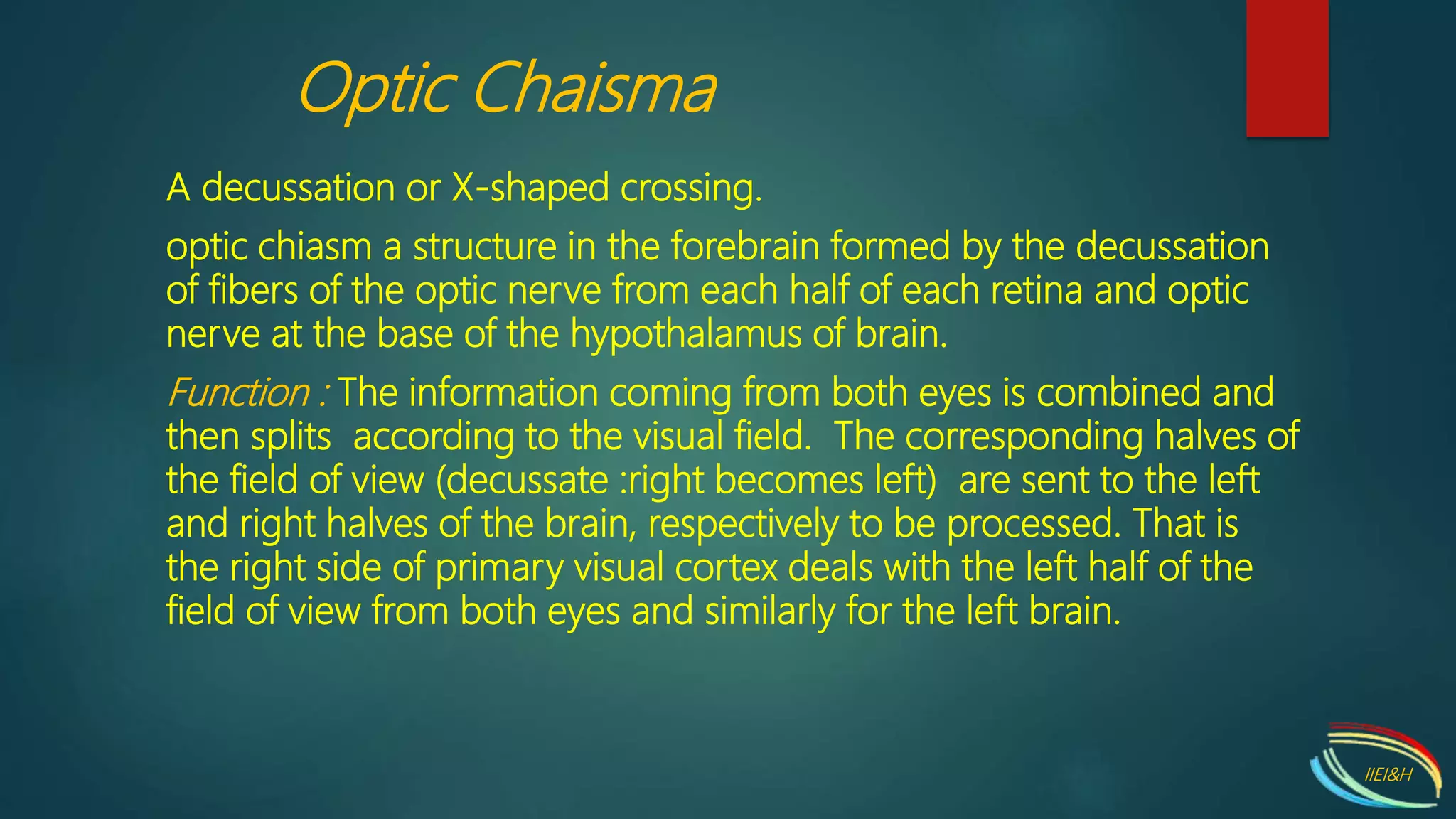 visual pathway | PPTX
