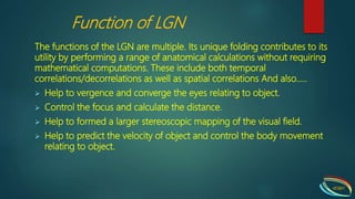 visual pathway | PPTX
