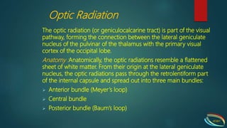 visual pathway | PPTX