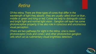 visual pathway | PPTX