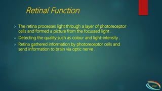 visual pathway | PPTX