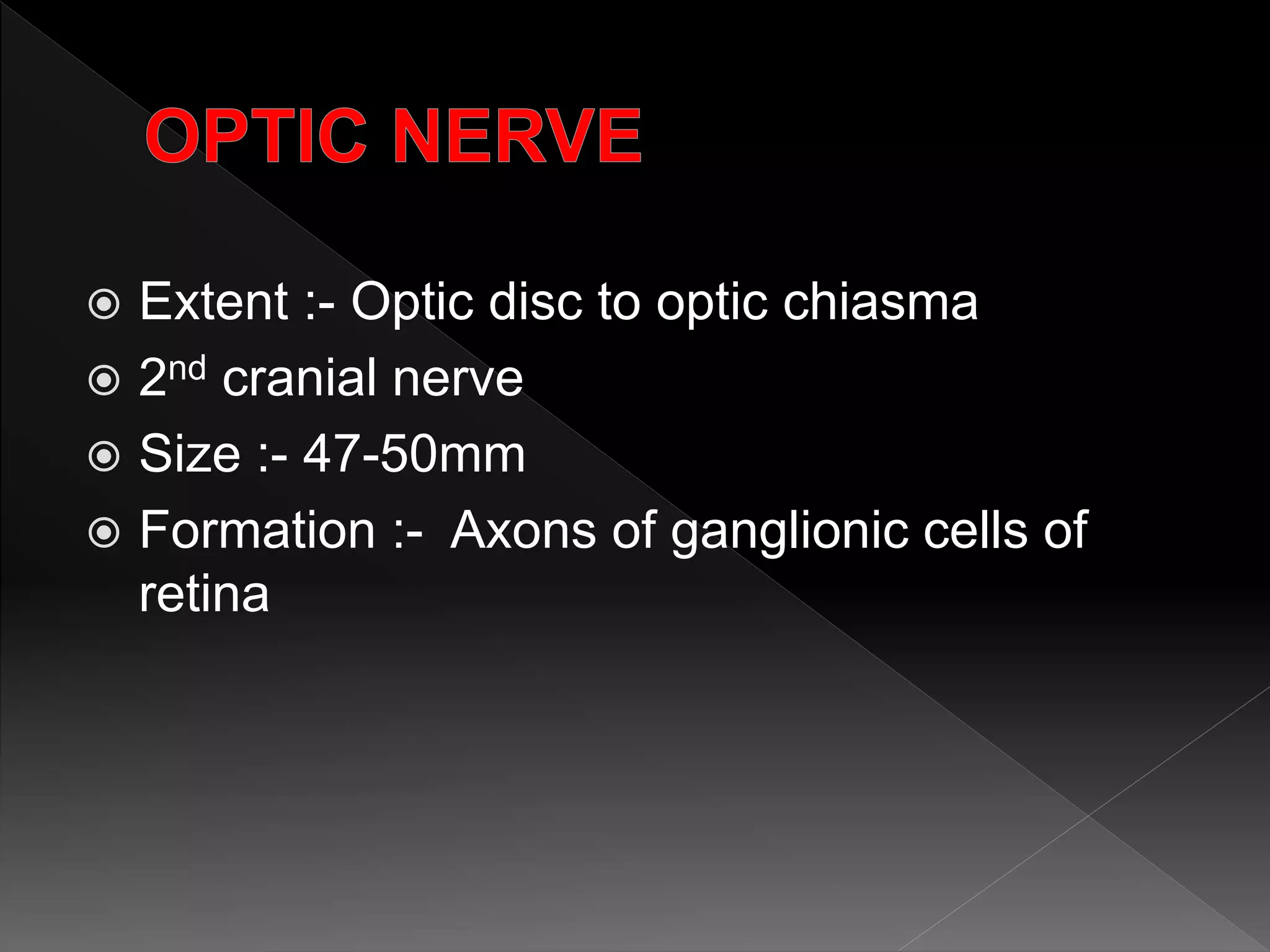 Visual pathway | PPT