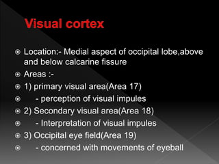 Visual pathway | PPTX