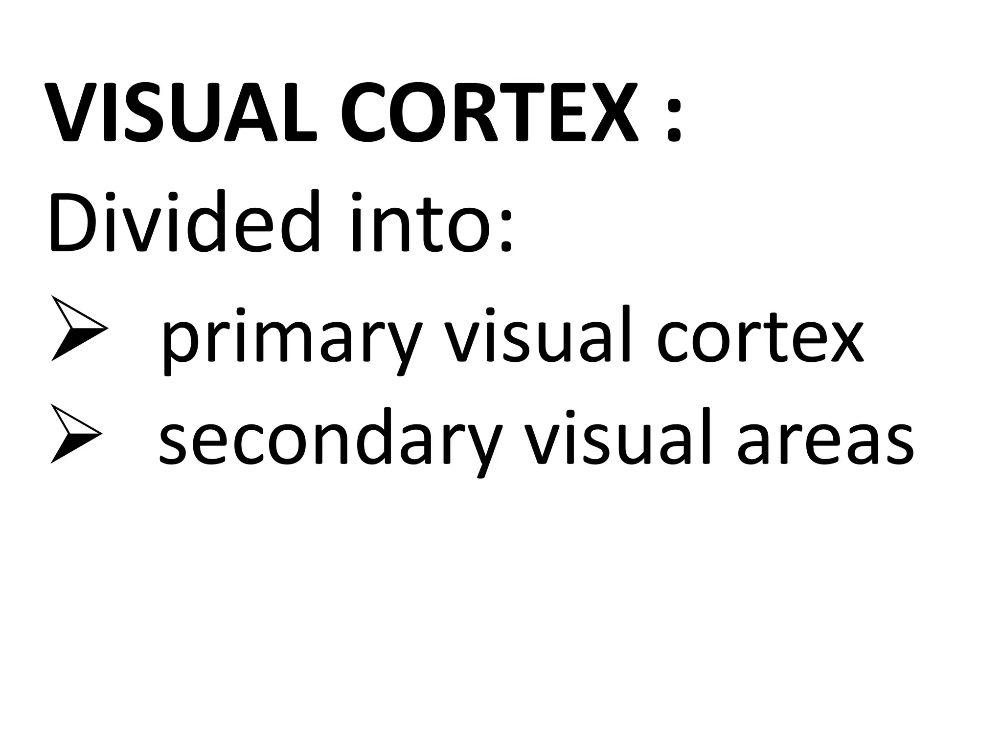 Visual pathway ,visual cortex and hemianopias | PPTX