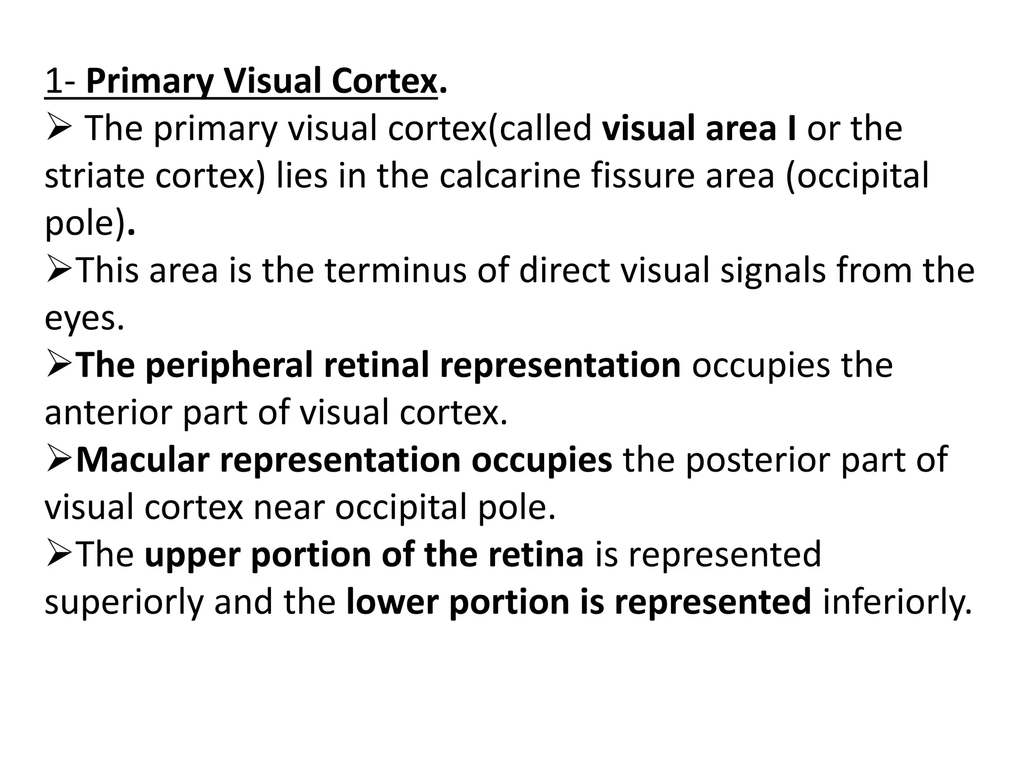 Visual pathway ,visual cortex and hemianopias | PPTX