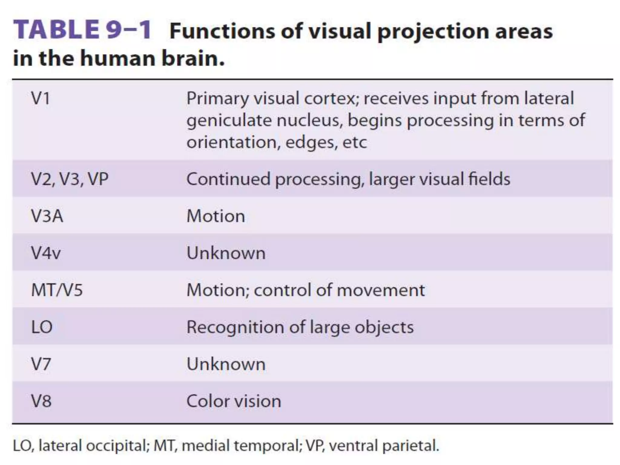 Visual pathway ,visual cortex and hemianopias | PPTX