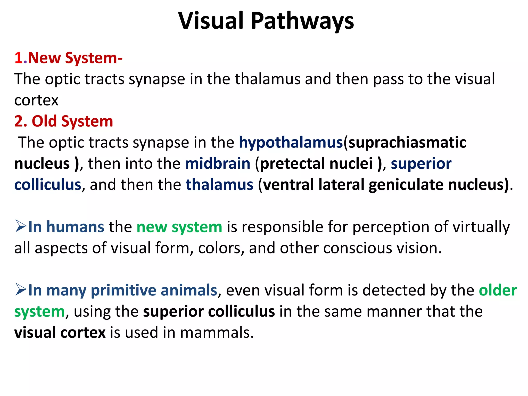 Visual pathway ,visual cortex and hemianopias | PPTX