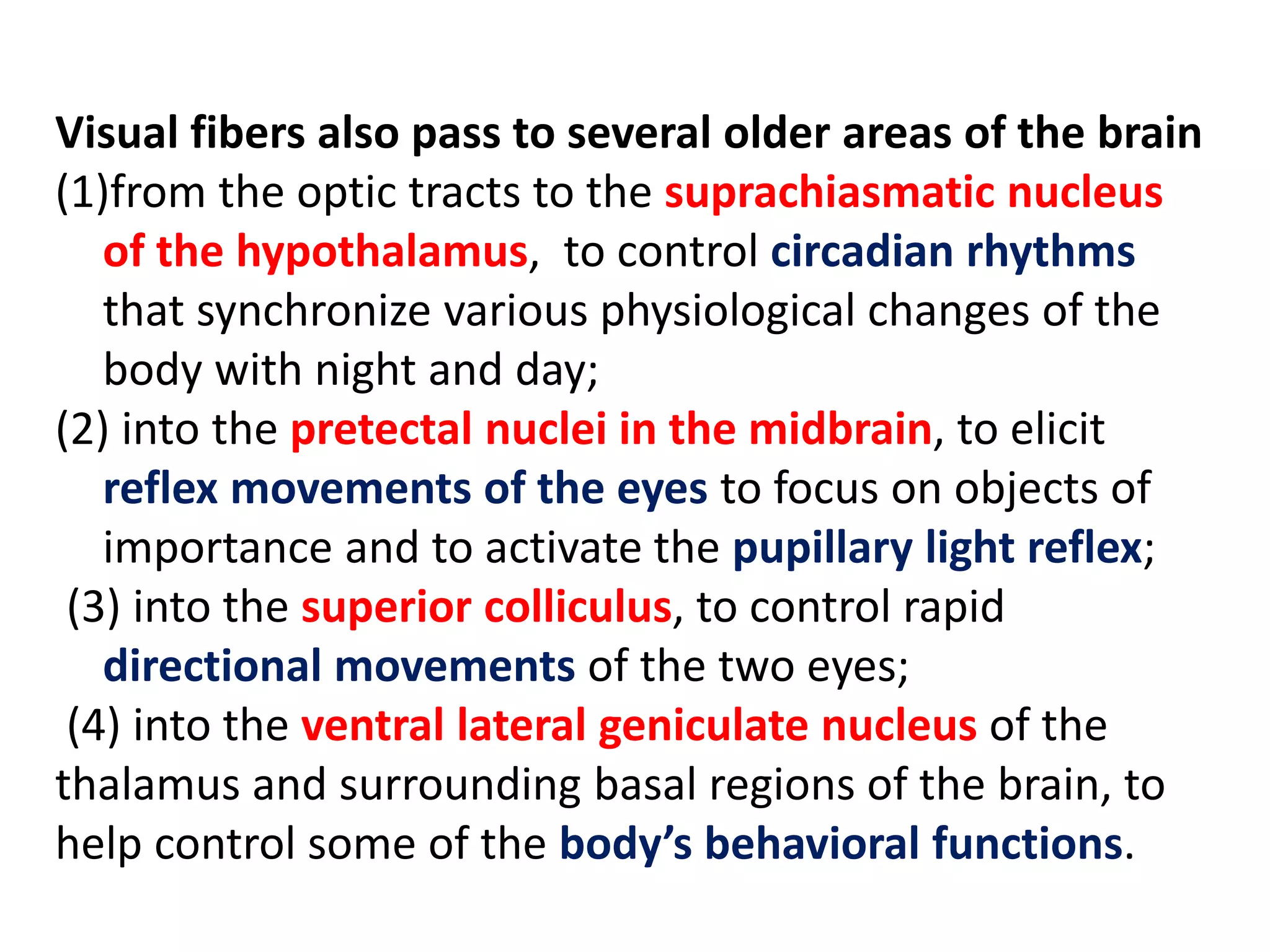Visual pathway ,visual cortex and hemianopias | PPTX