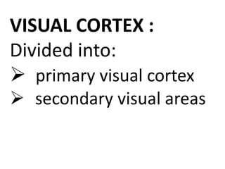 Visual pathway ,visual cortex and hemianopias | PPTX
