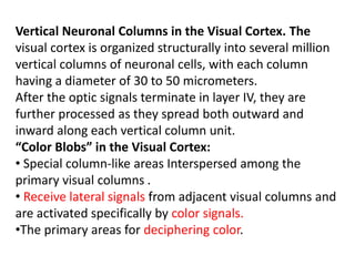 Visual pathway ,visual cortex and hemianopias | PPTX