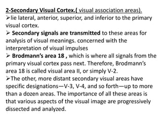 Visual pathway ,visual cortex and hemianopias | PPTX
