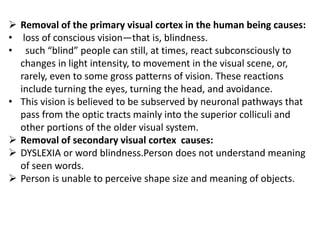 Visual pathway ,visual cortex and hemianopias | PPTX