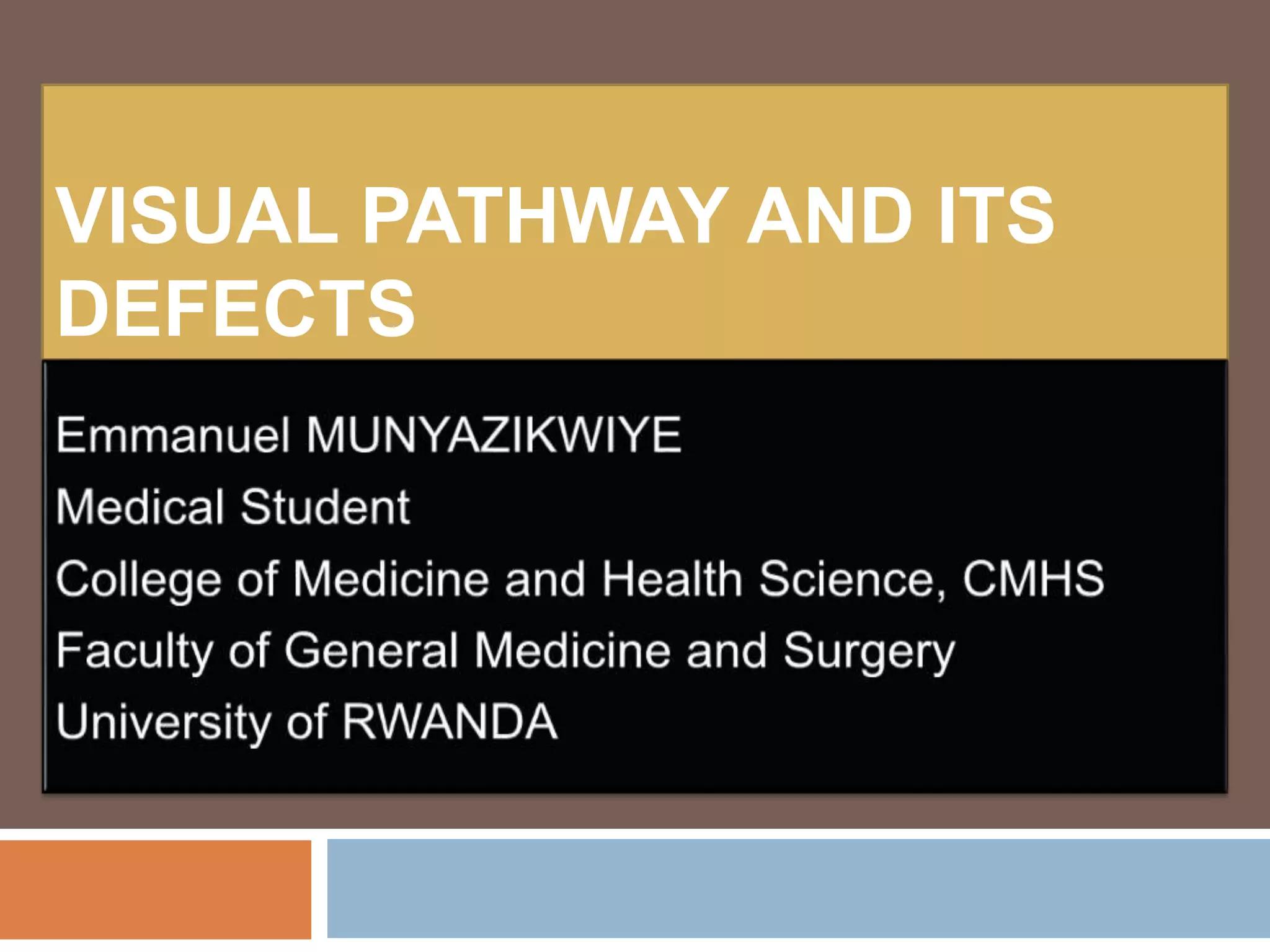 Visual pathway and its defects | PPTX