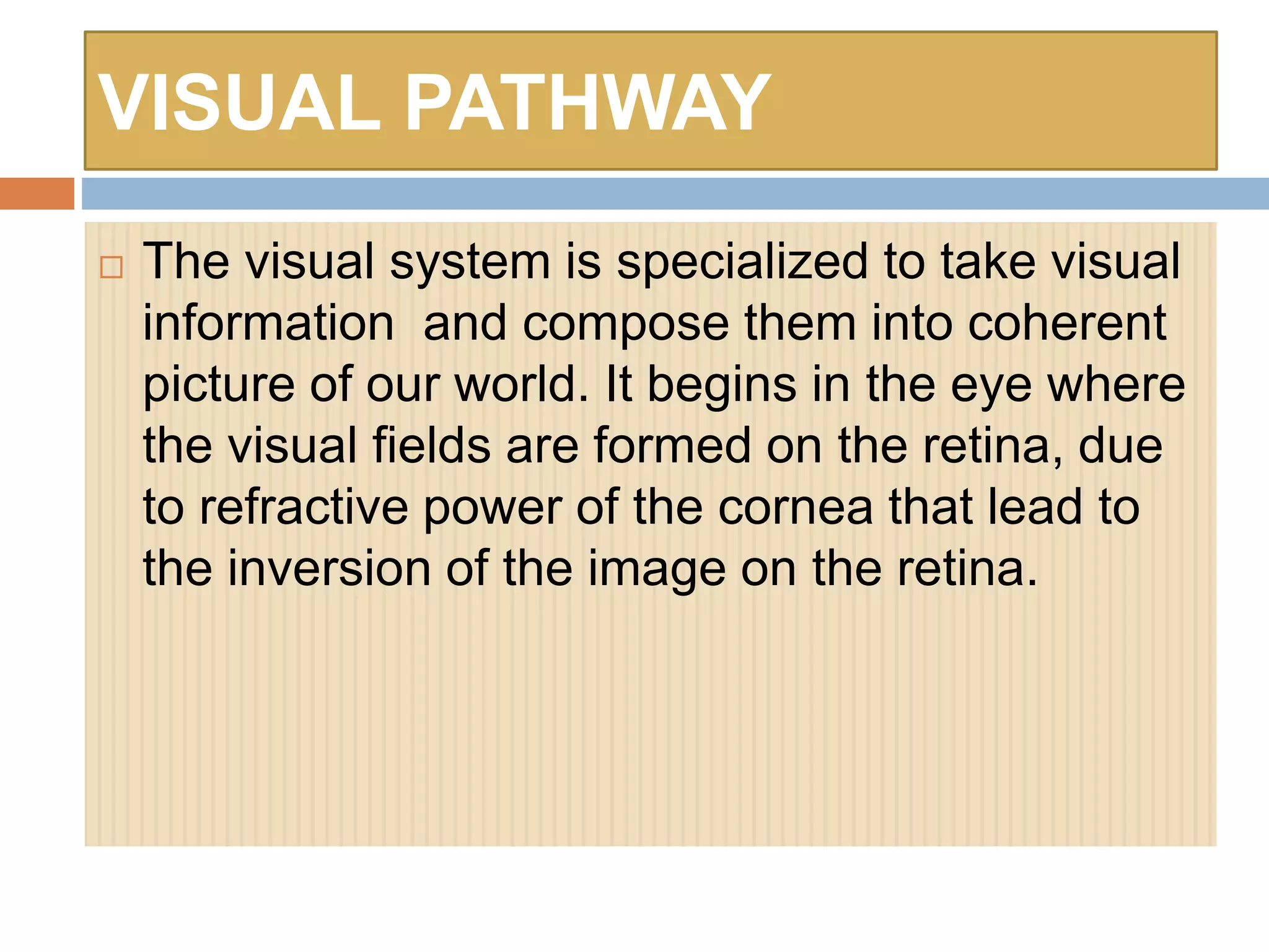 Visual pathway and its defects | PPTX