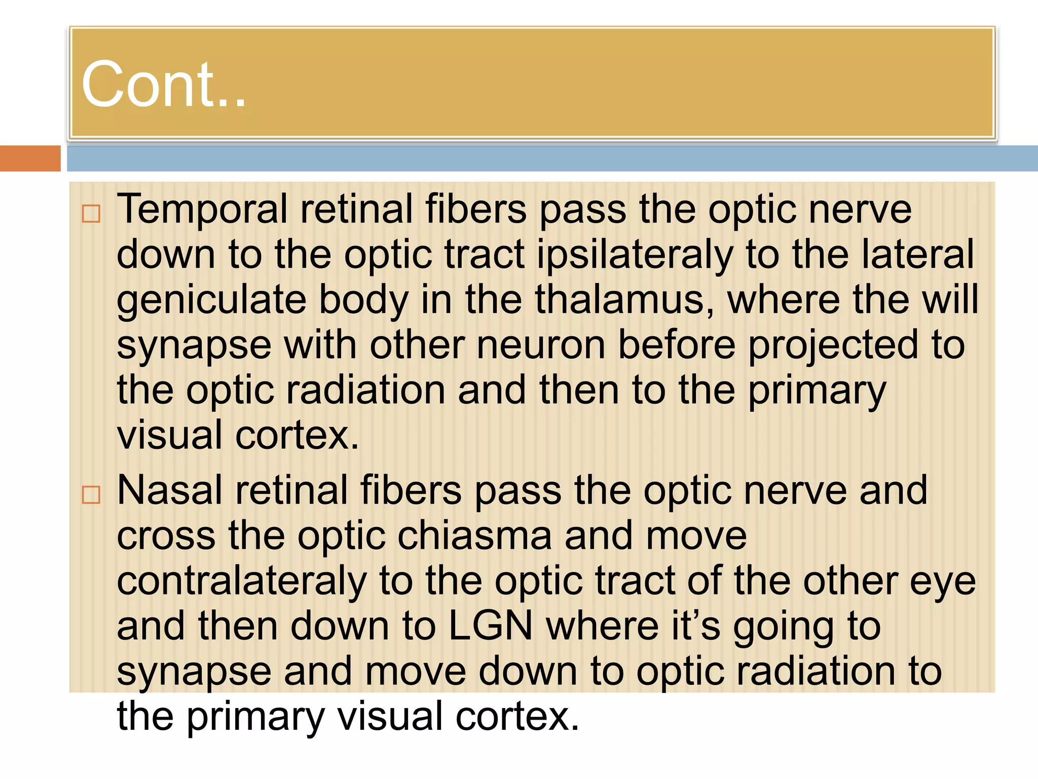Visual pathway and its defects | PPTX