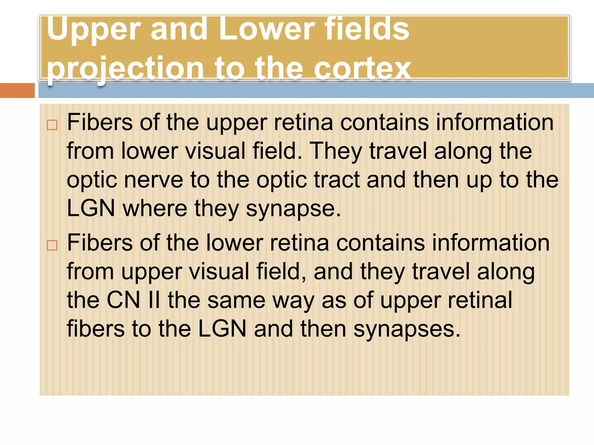 Visual pathway and its defects | PPTX