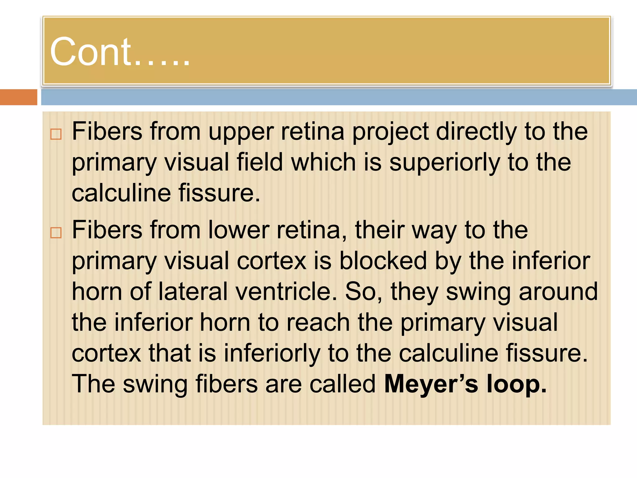 Visual pathway and its defects | PPTX