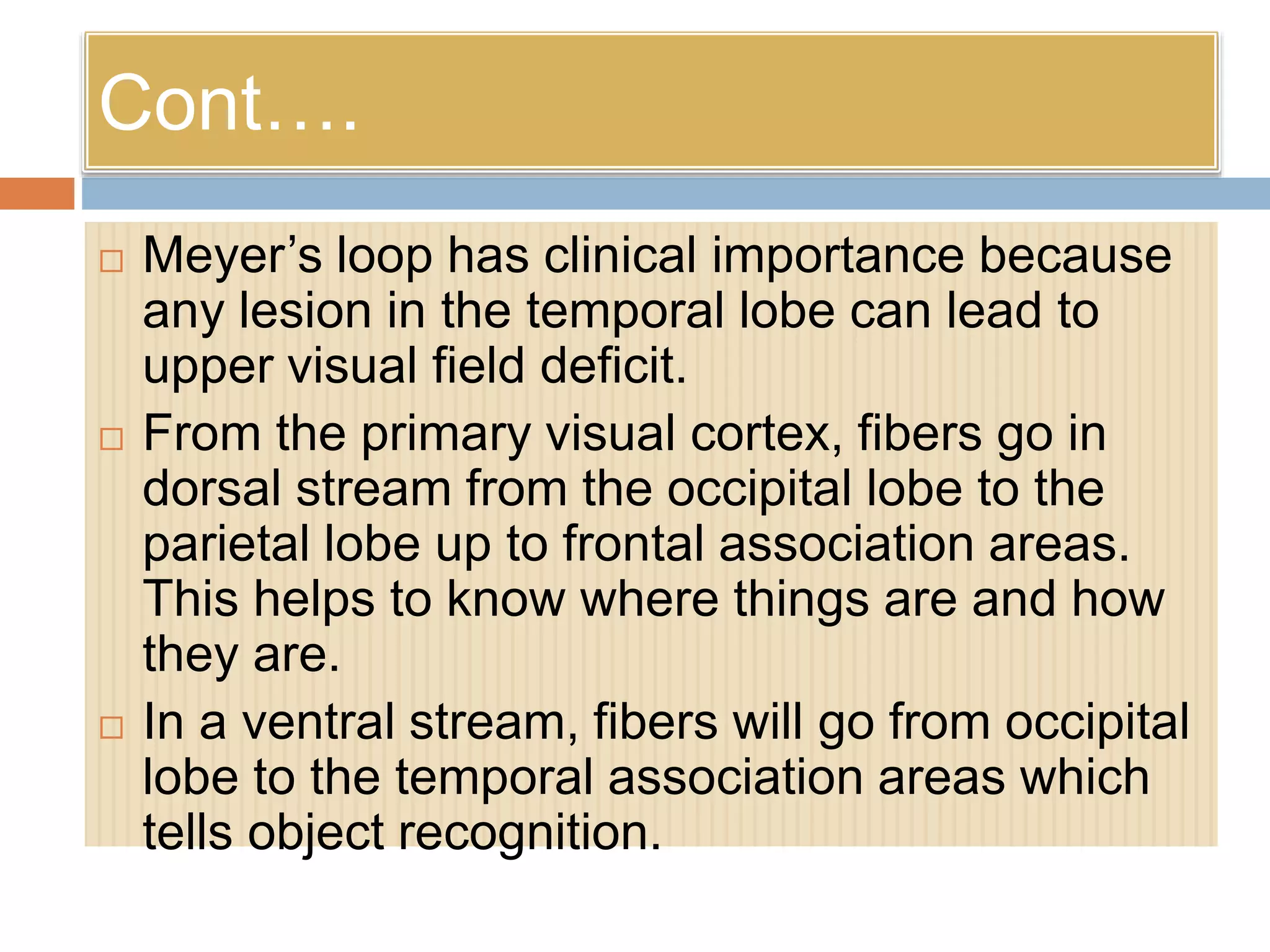 Visual pathway and its defects | PPTX