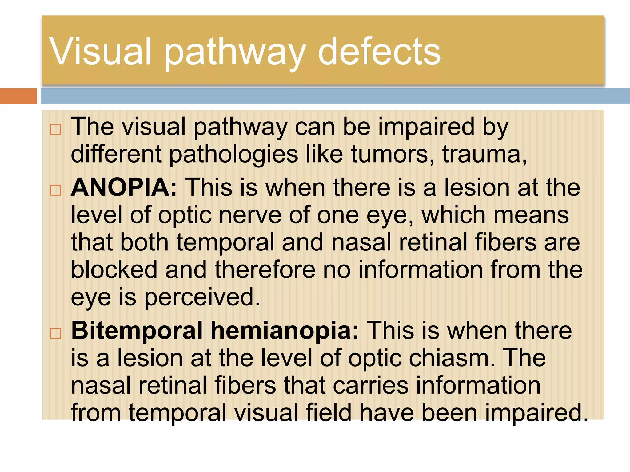 Visual pathway and its defects | PPTX
