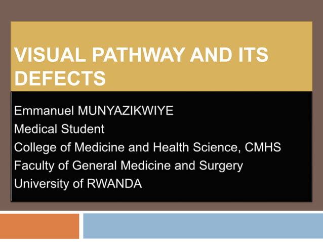 Visual pathway and its defects | PPTX | Eye and Vision Conditions | Diseases and Conditions
