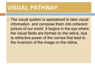 Visual pathway and its defects | PPTX