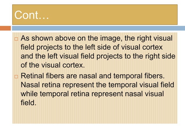 Visual pathway and its defects | PPTX | Eye and Vision Conditions ...