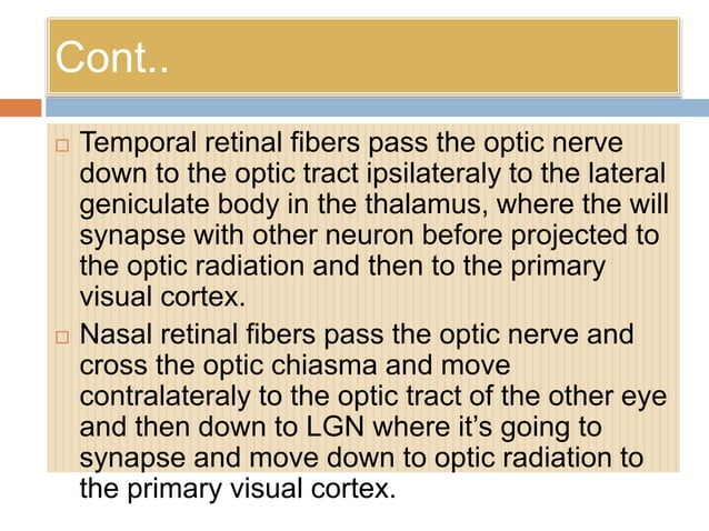 Visual pathway and its defects | PPTX | Eye and Vision Conditions ...