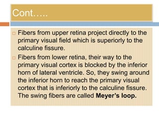 Visual pathway and its defects | PPTX