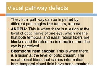 Visual pathway and its defects | PPTX