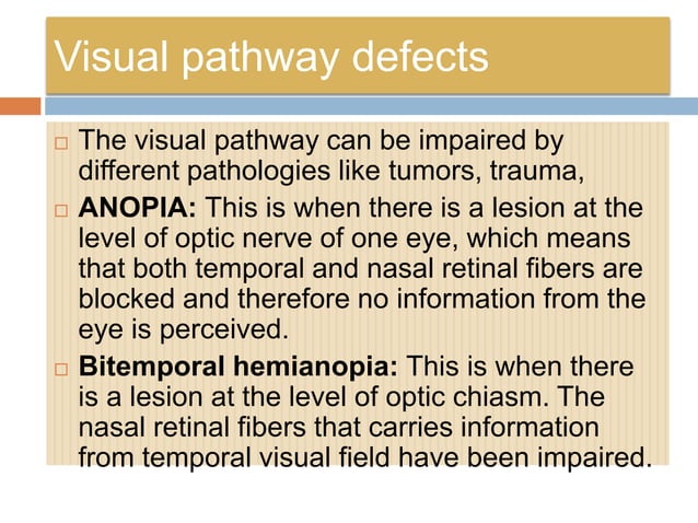 Visual pathway and its defects | PPTX | Eye and Vision Conditions ...