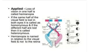 visual Pathway.pptx