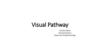 visual Pathway.pptx