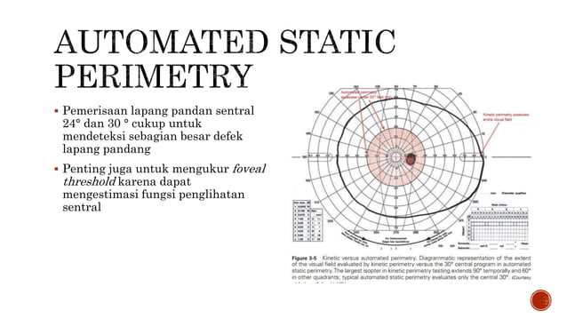 Visual pathway.pptx
