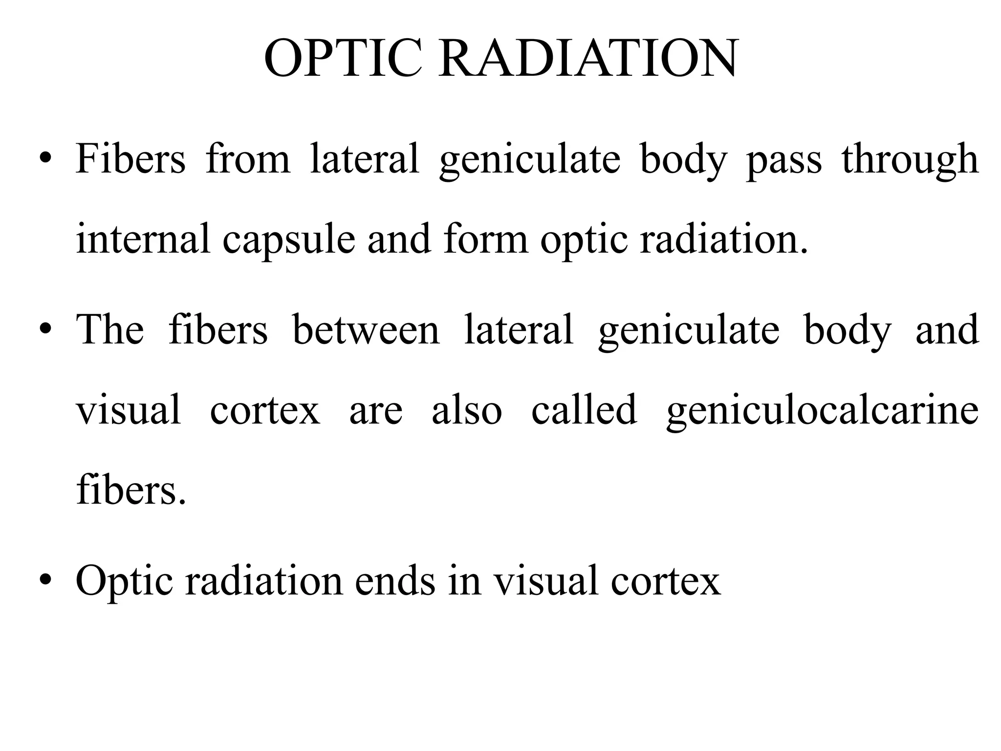 VISUAL PATHWAY.pptx