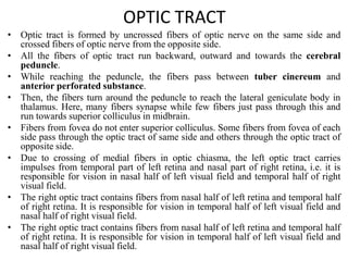 VISUAL PATHWAY.pptx