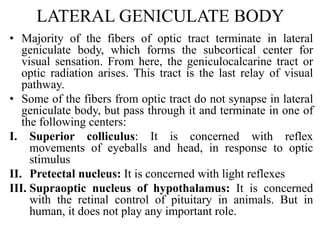 VISUAL PATHWAY.pptx