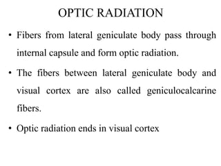 VISUAL PATHWAY.pptx