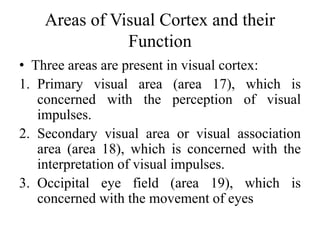 VISUAL PATHWAY.pptx