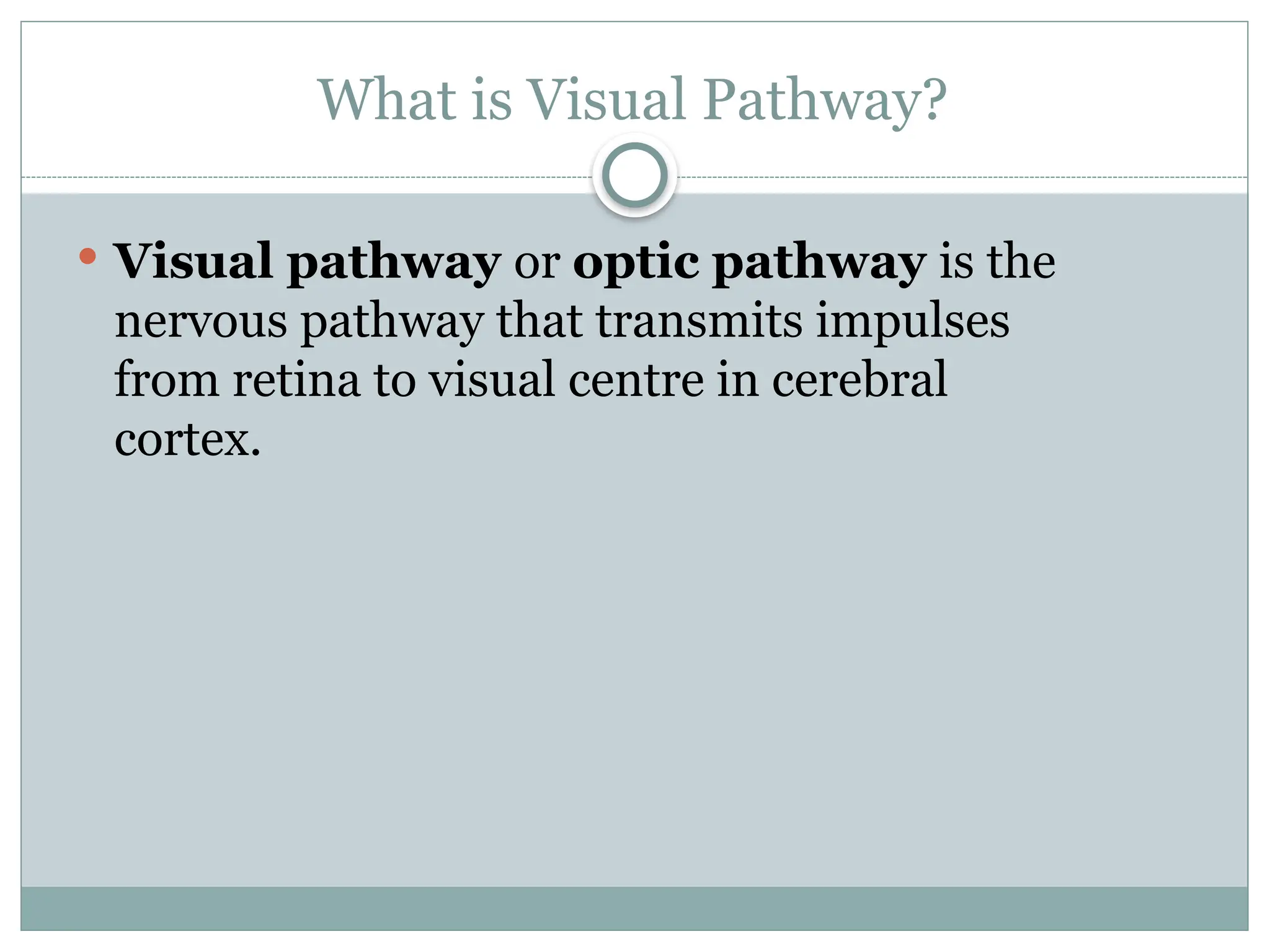 visual pathway in..... human beings.pptx
