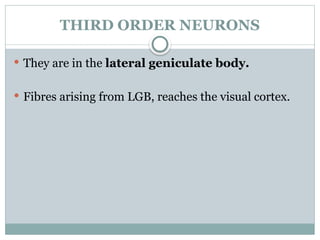 visual pathway in..... human beings.pptx