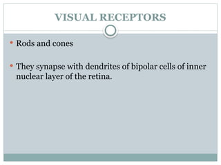 visual pathway in..... human beings.pptx
