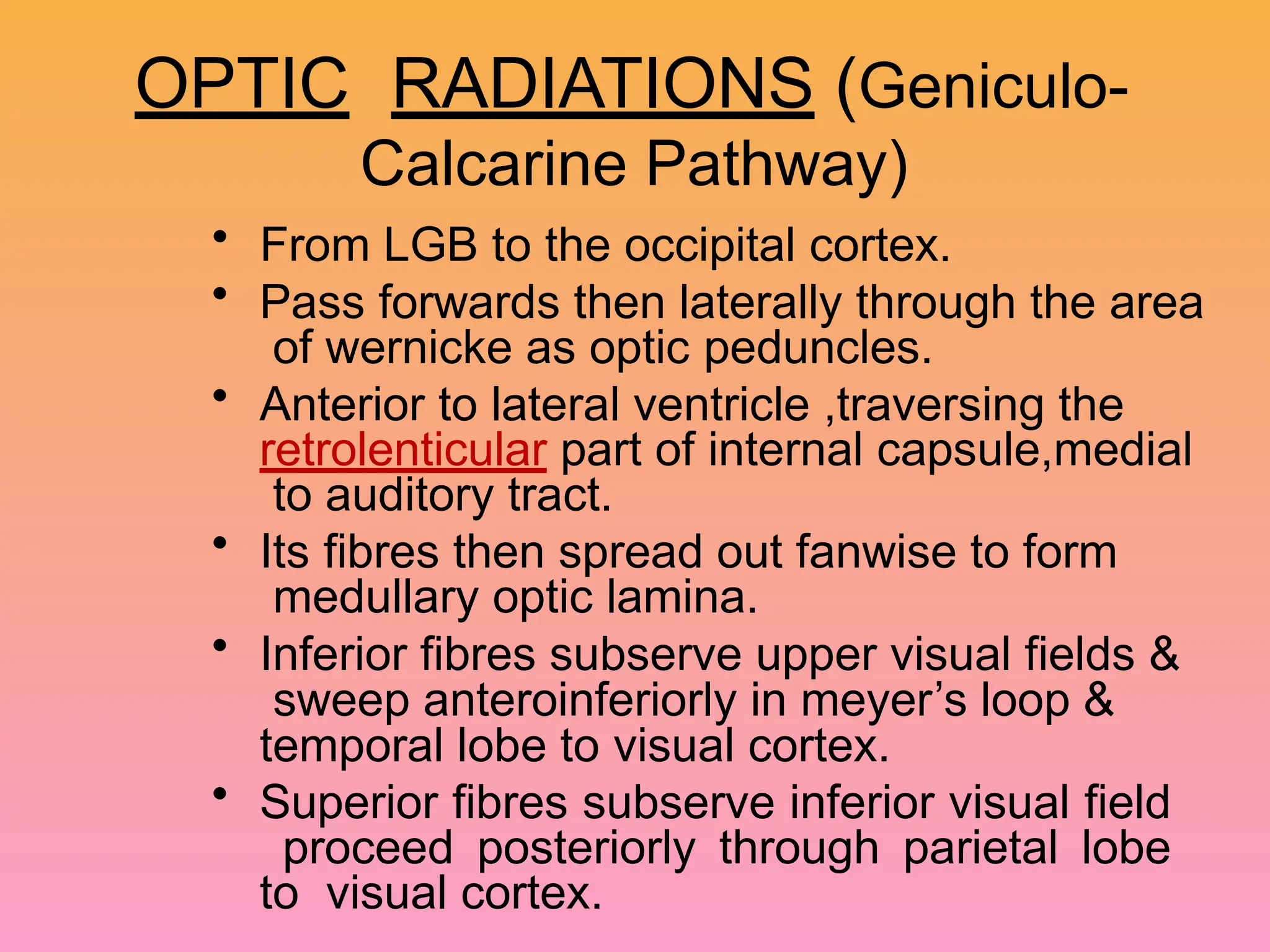 Visual pathway of the human eye anatomyy | PPTX