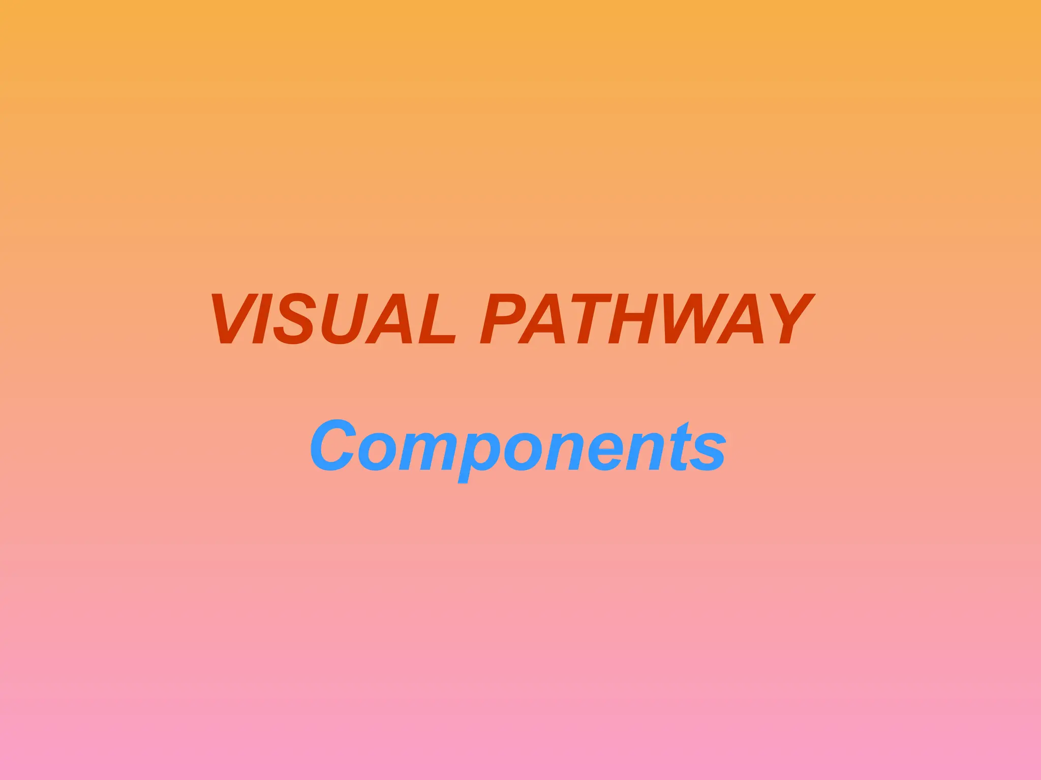 Visual pathway of the human eye anatomyy | PPTX