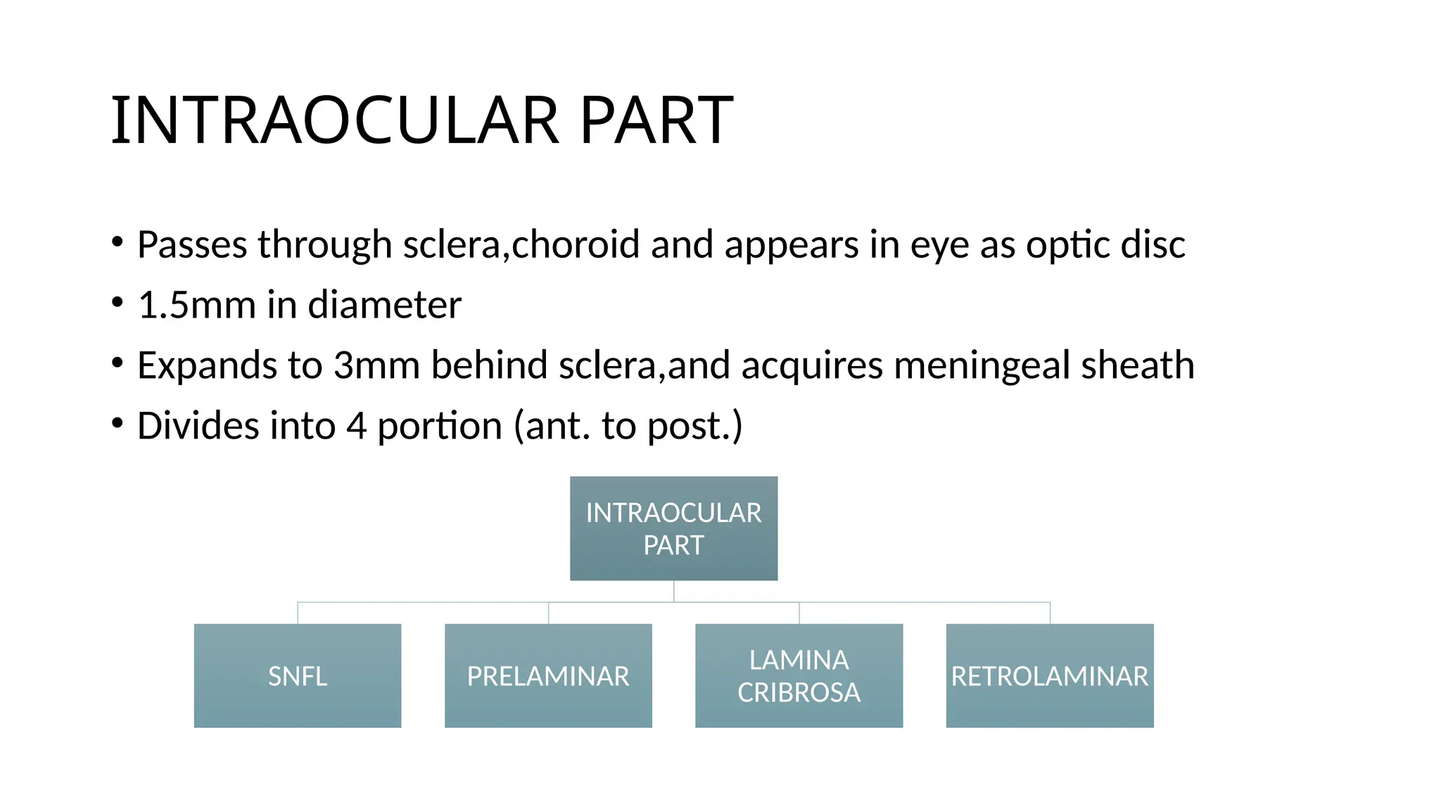 Visual pathway Anatomy and Physiology.pptx