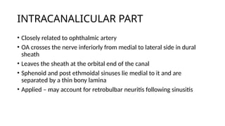 Visual pathway Anatomy and Physiology.pptx