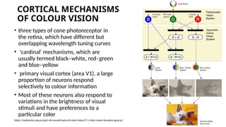 Visual pathway Anatomy and Physiology.pptx